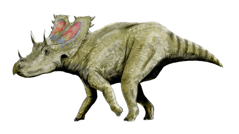 Centennial Dinosaurs